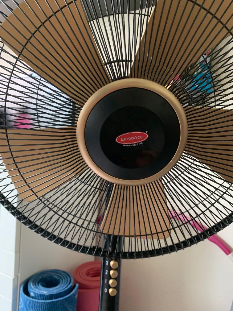 EuropAce Standing Fan, Furniture & Home Living, Lighting & Fans, Fans ...
