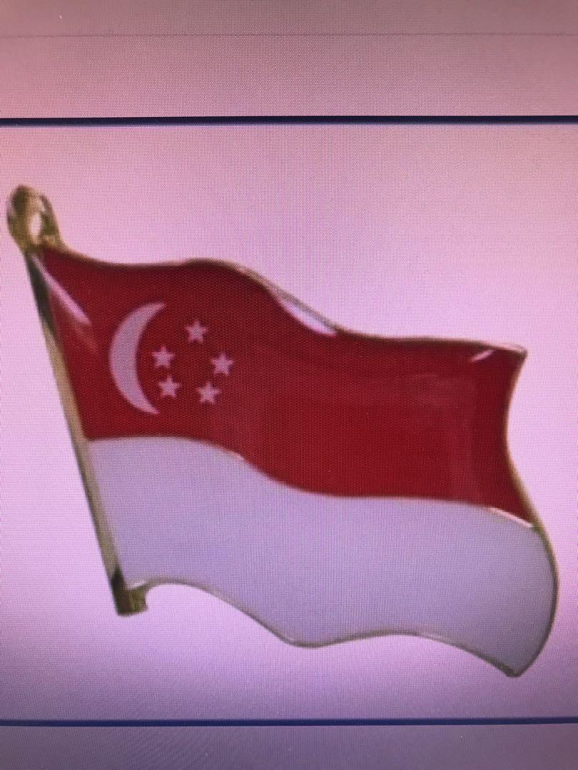 Singapore flag collar pin national day election use, Hobbies & Toys ...