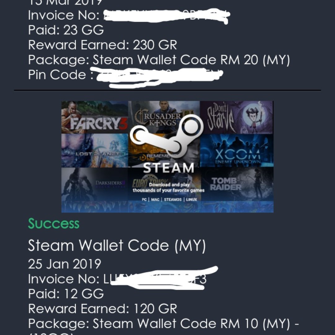 steam wallet card sold cheap, Video Gaming, Gaming Accessories, Game ...