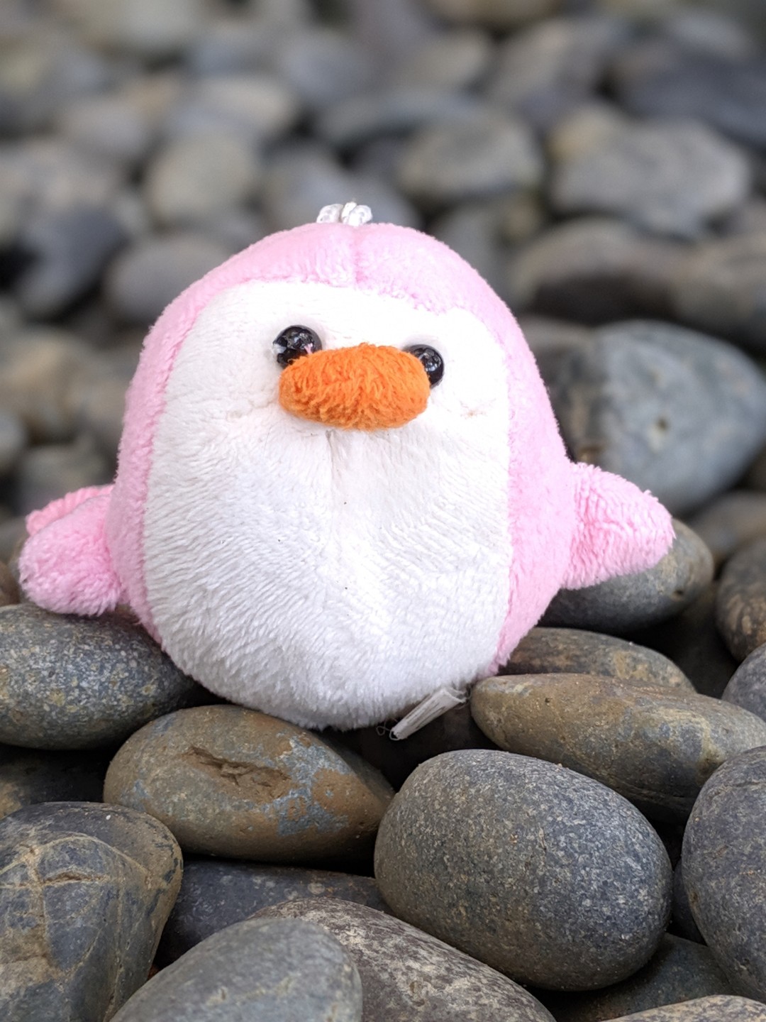 Please Help :( Lost Pink Penguin, Hobbies & Toys, Toys & Games on Carousell