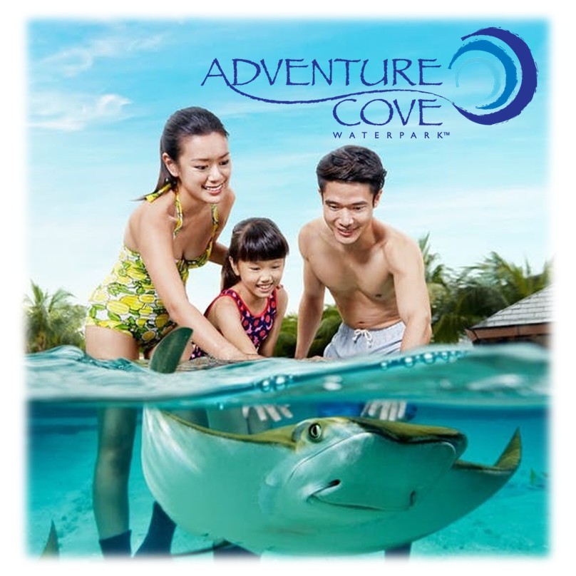 Adventure Cove Waterpark tickets, Tickets & Vouchers, Local Attractions ...