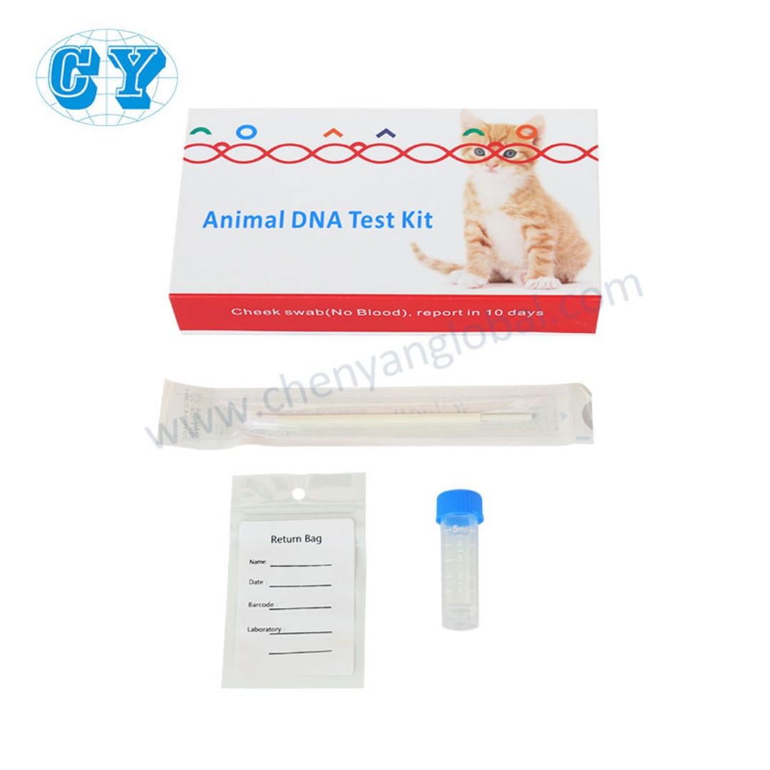 Nylon Focked Tip Dog DNA Test Kit, Pet Supplies, Homes & Other Pet ...