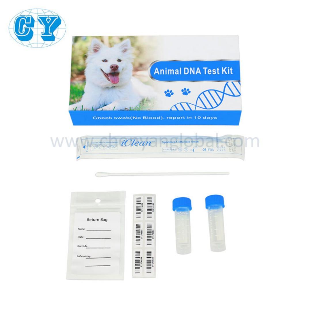 Nylon Focked Tip Dog DNA Test Kit, Pet Supplies, Homes & Other Pet ...