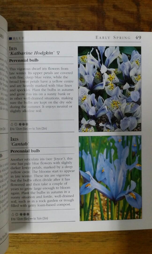 RHS Plants For Every Season, Hobbies & Toys, Books & Magazines ...