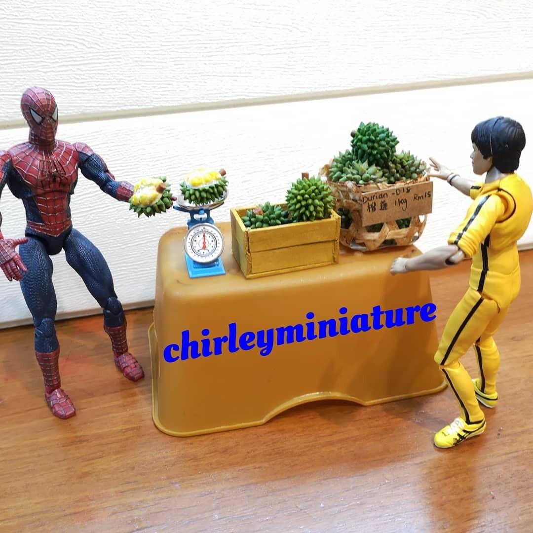 Miniature for shf,figma,diorama, Hobbies & Toys, Toys & Games on Carousell