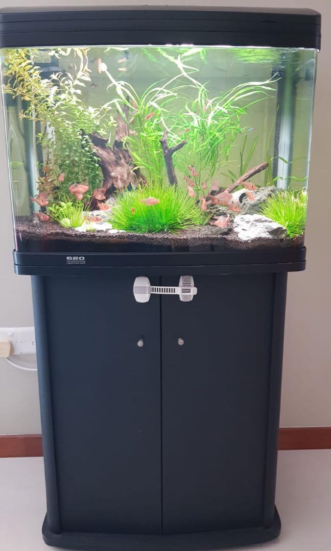 Atman 2 feet fish tank aquarium and cabinet. Everything included, Pet ...