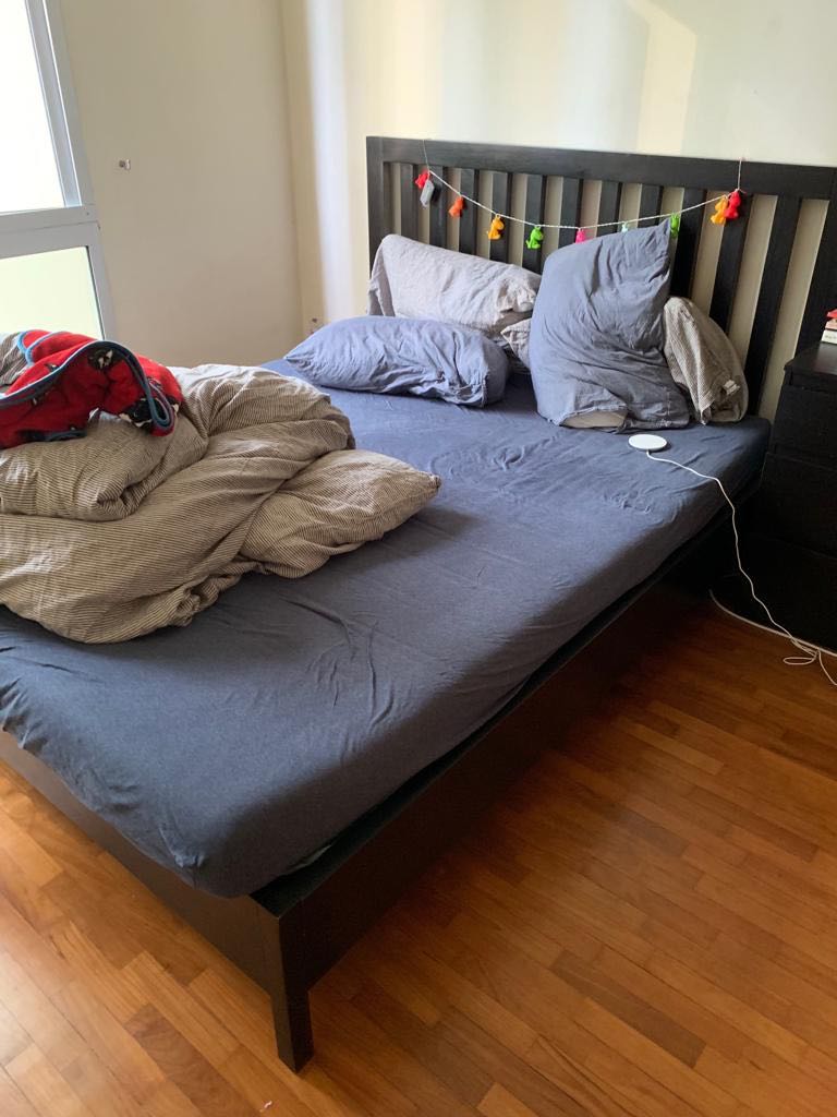 Comfy Queen Bed, Furniture & Home Living, Furniture, Bed Frames ...