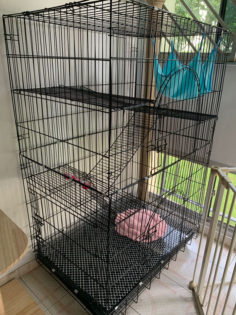 Foldable 4 storey Bird / Cat cage, Pet Supplies, Homes & Other Pet ...
