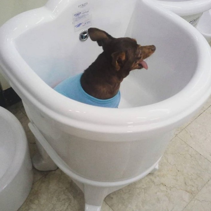 Mop Sink /Slop Sink, Furniture & Home Living, Cleaning & Homecare ...