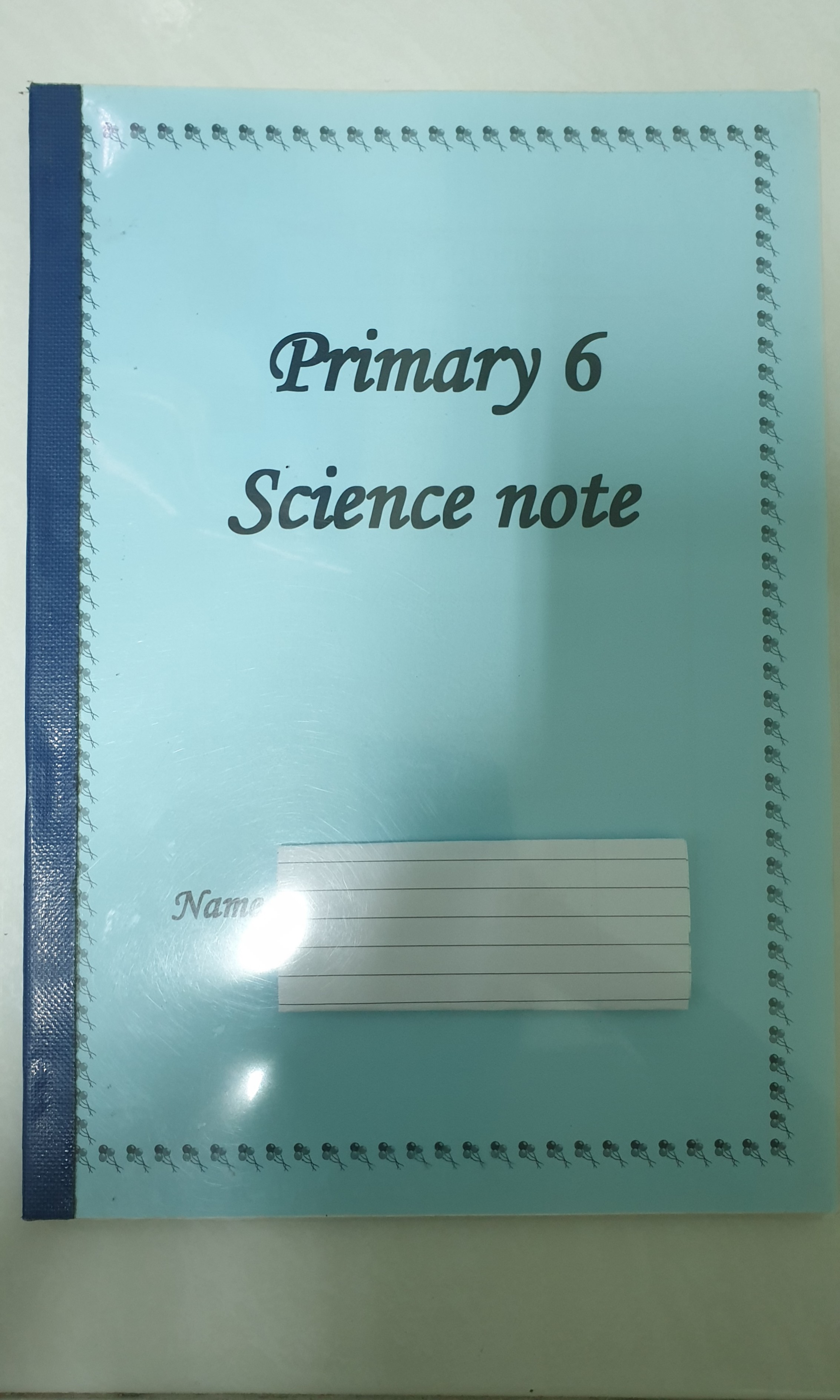Primary 6 PSLE Science Notes Booklet, Hobbies & Toys, Books & Magazines ...