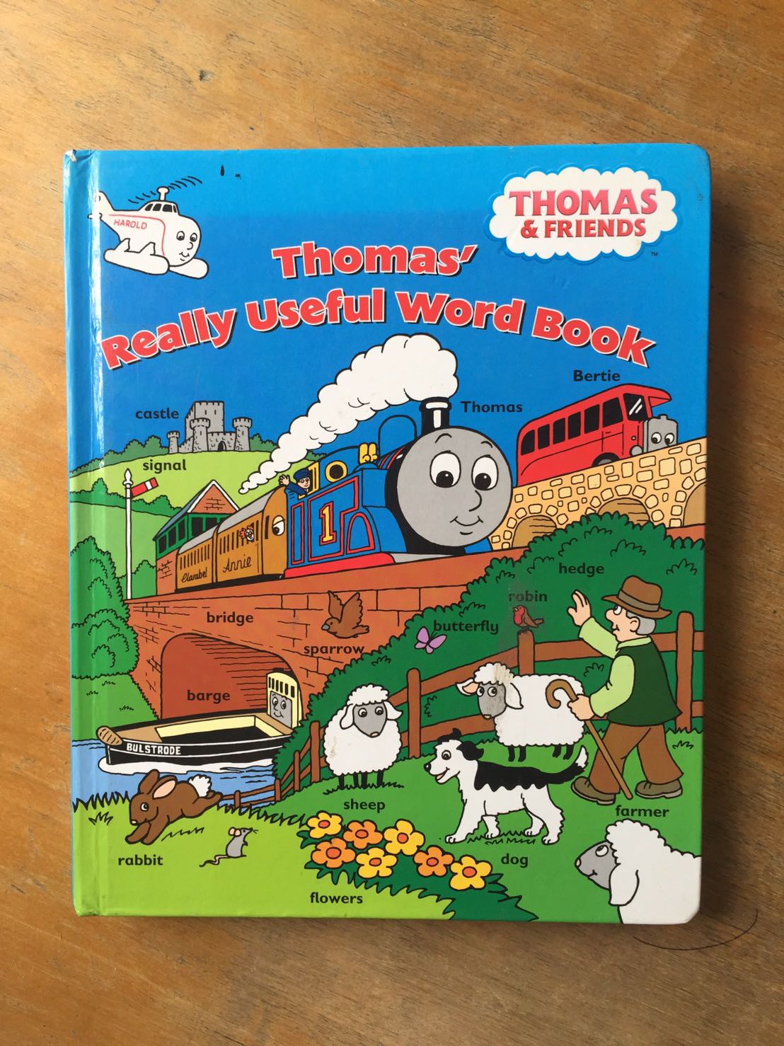 Thomas Picture Dictionary, Hobbies & Toys, Books & Magazines, Children ...