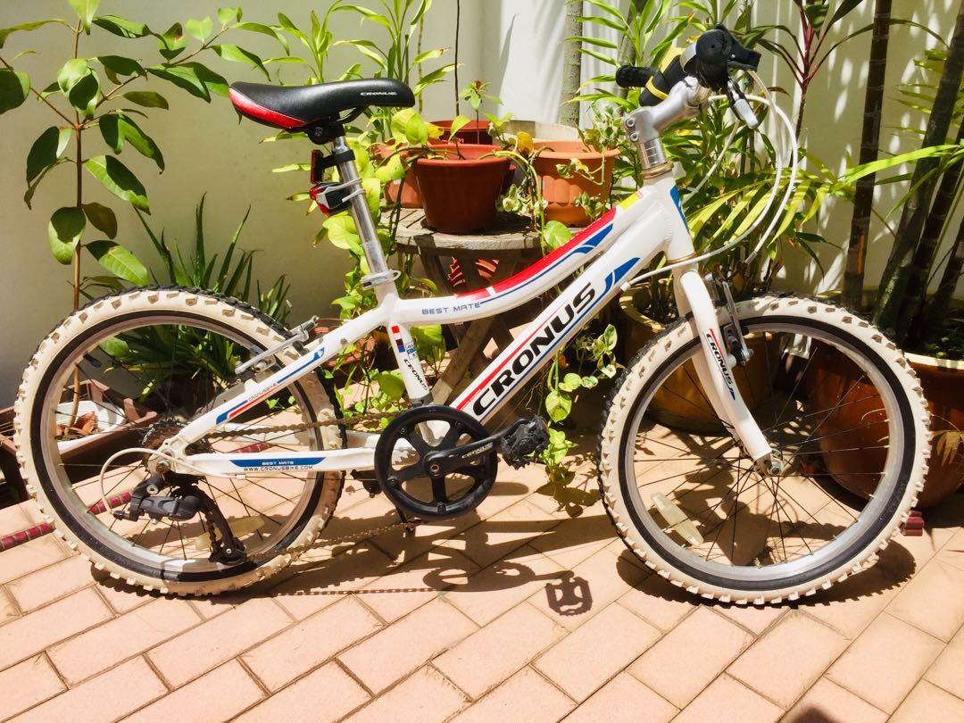 CRONUS CHILDREN BIKE (great for 8-13 y.o.), Sports Equipment, Bicycles ...