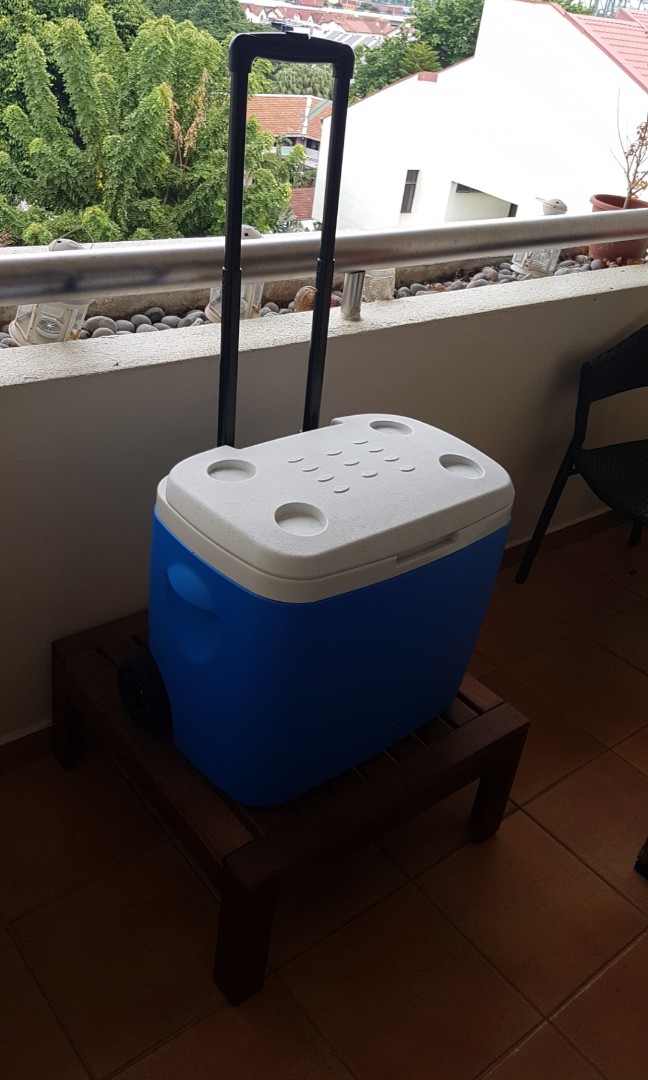 Esky, Furniture & Home Living, Kitchenware & Tableware, Food ...