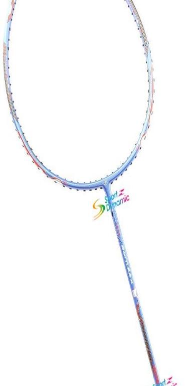 PROTECH BATTLEAX Y BADMINTON RACKET, Sports Equipment, Sports & Games ...