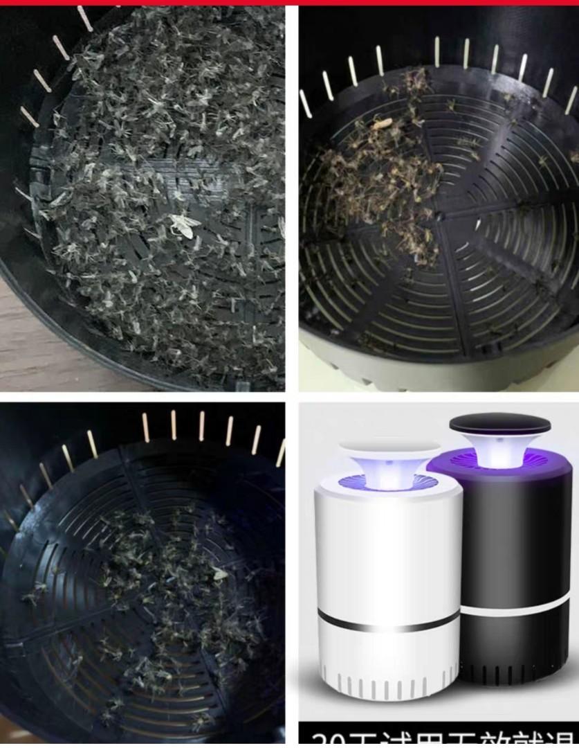 Flies capture devices., TV & Home Appliances, TV & Entertainment ...