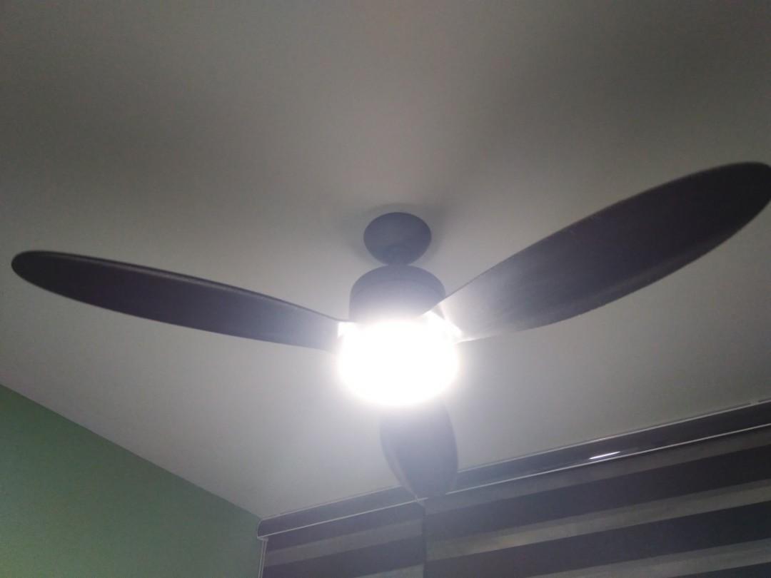Amasco DC Ceiling fan 46", Furniture & Home Living, Lighting & Fans ...