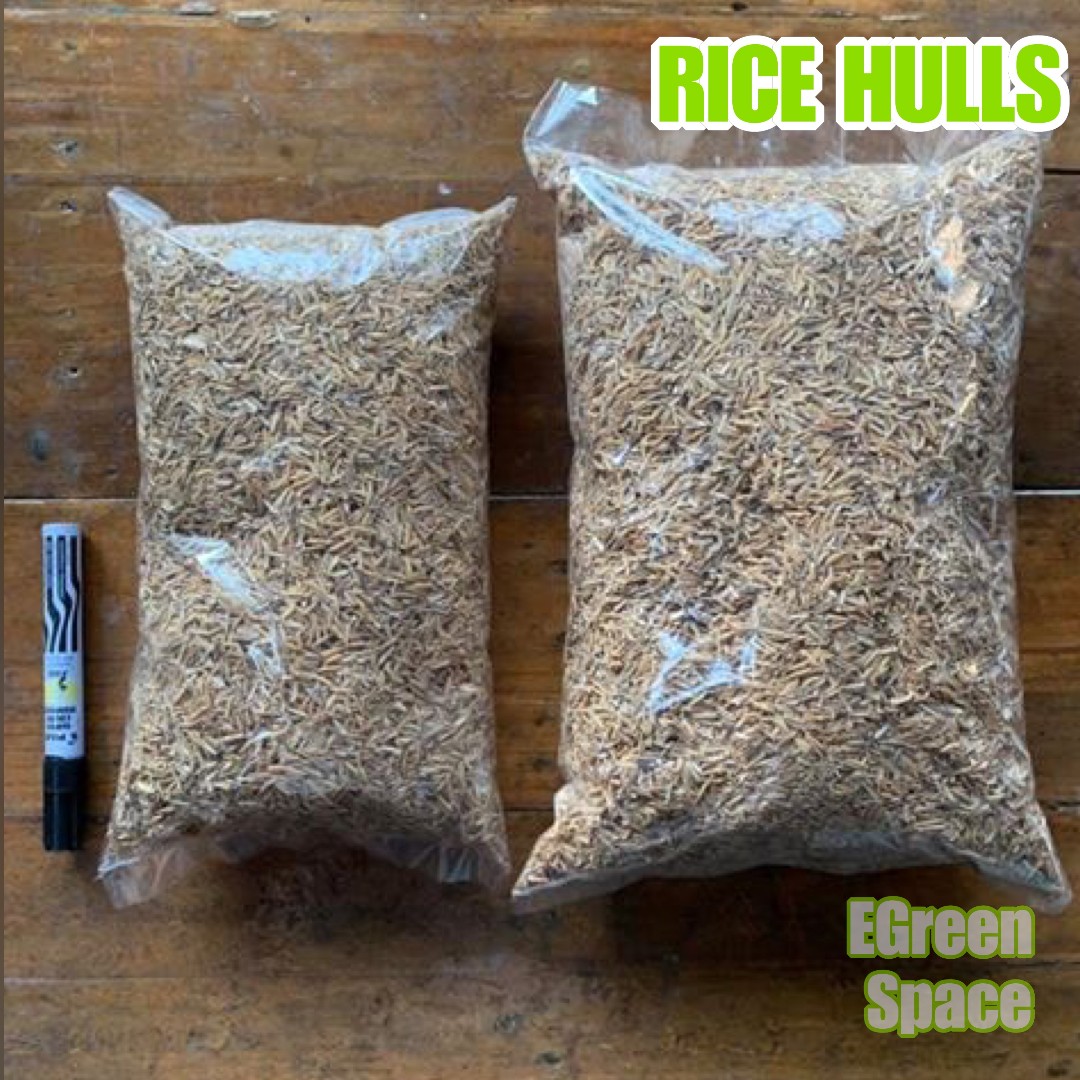 RICE HULLS (FRESH/AGED), Furniture & Home Living, Cleaning & Homecare ...