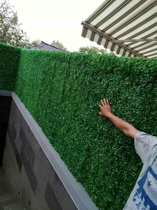 Rumput sintetis hiasan dinding rumah, Barang Yang Dicari di Carousell