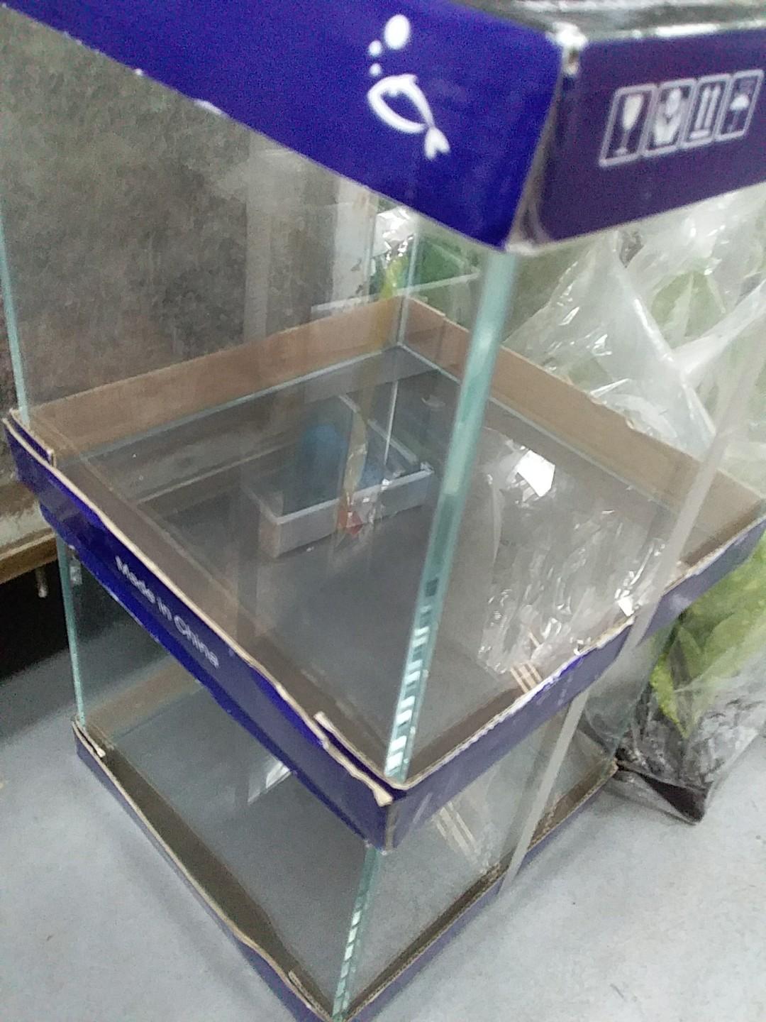 Yego 20cm cube crystal glass fish tank, Pet Supplies, Homes & Other Pet ...