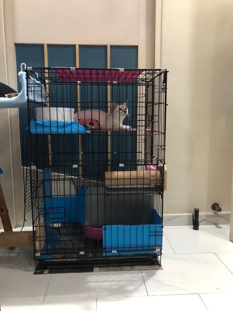 3 Tier Cat Cage, Pet Supplies, Homes & Other Pet Accessories on Carousell