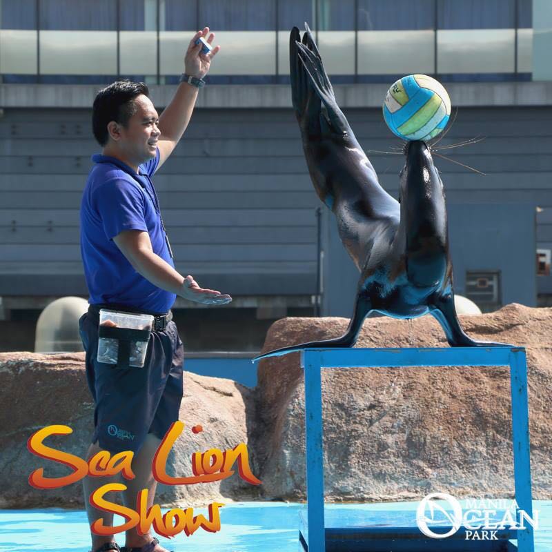 Discounted 8 Attractions Manila Ocean Park Ticket for Sale, Tickets ... Discounted 8 Attractions Manila Ocean Park Ticket for Sale, Tickets ...