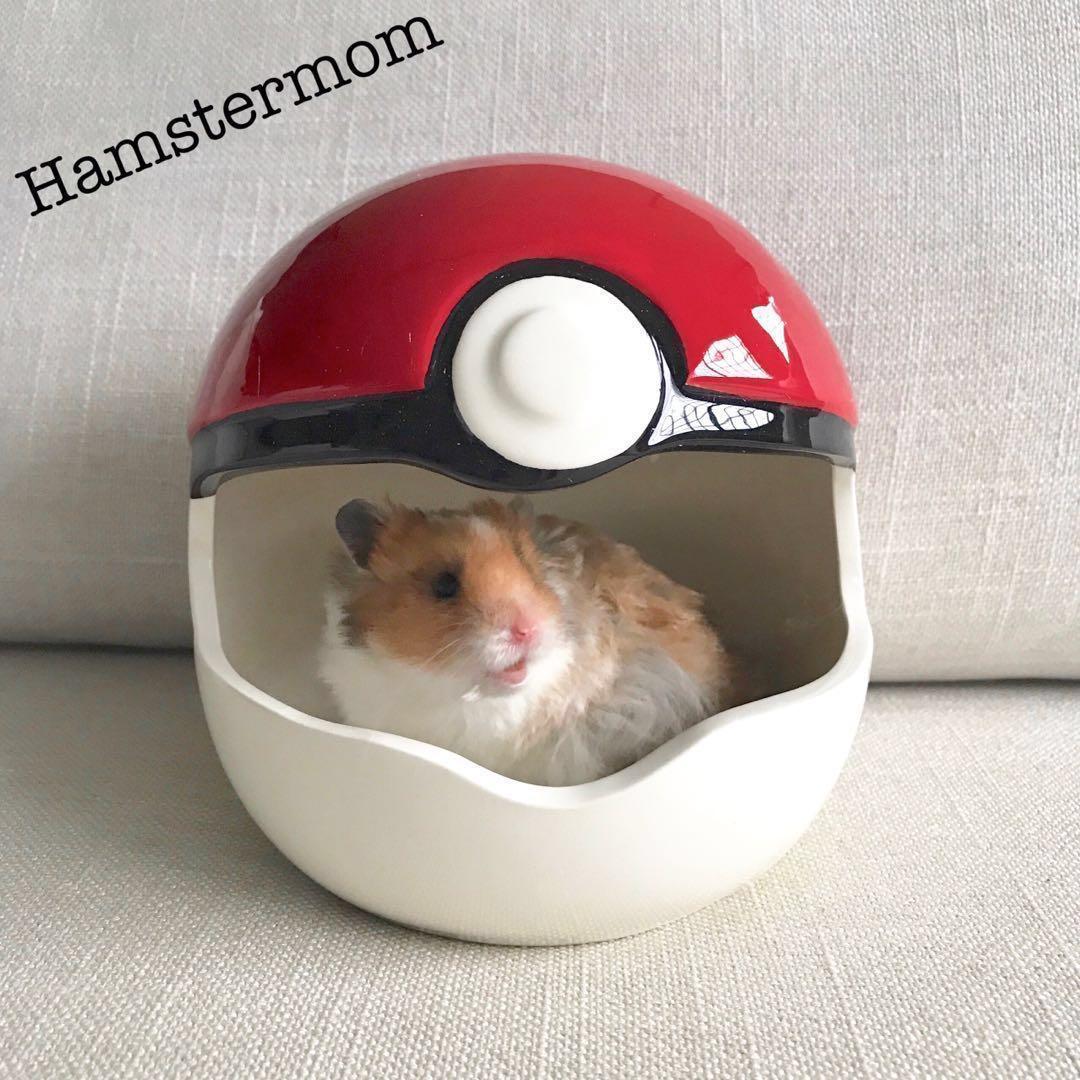 Large Pokemon Ball Ceramic Hamster Hideout Toy House, Pet Supplies ...