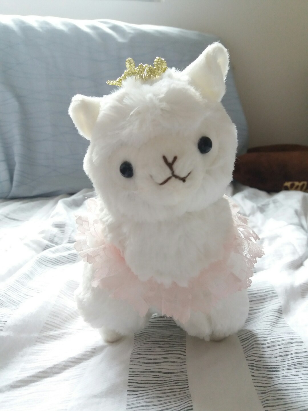 ArPakasso Stuffed Toy, Hobbies & Toys, Toys & Games on Carousell