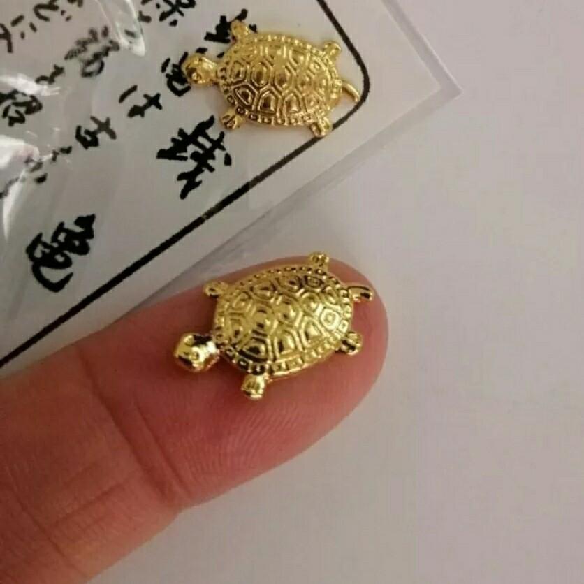 Lucky Tortoise, Everything Else on Carousell