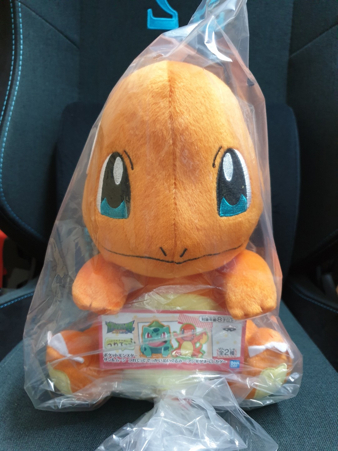 Charmander, Hobbies & Toys, Toys & Games on Carousell