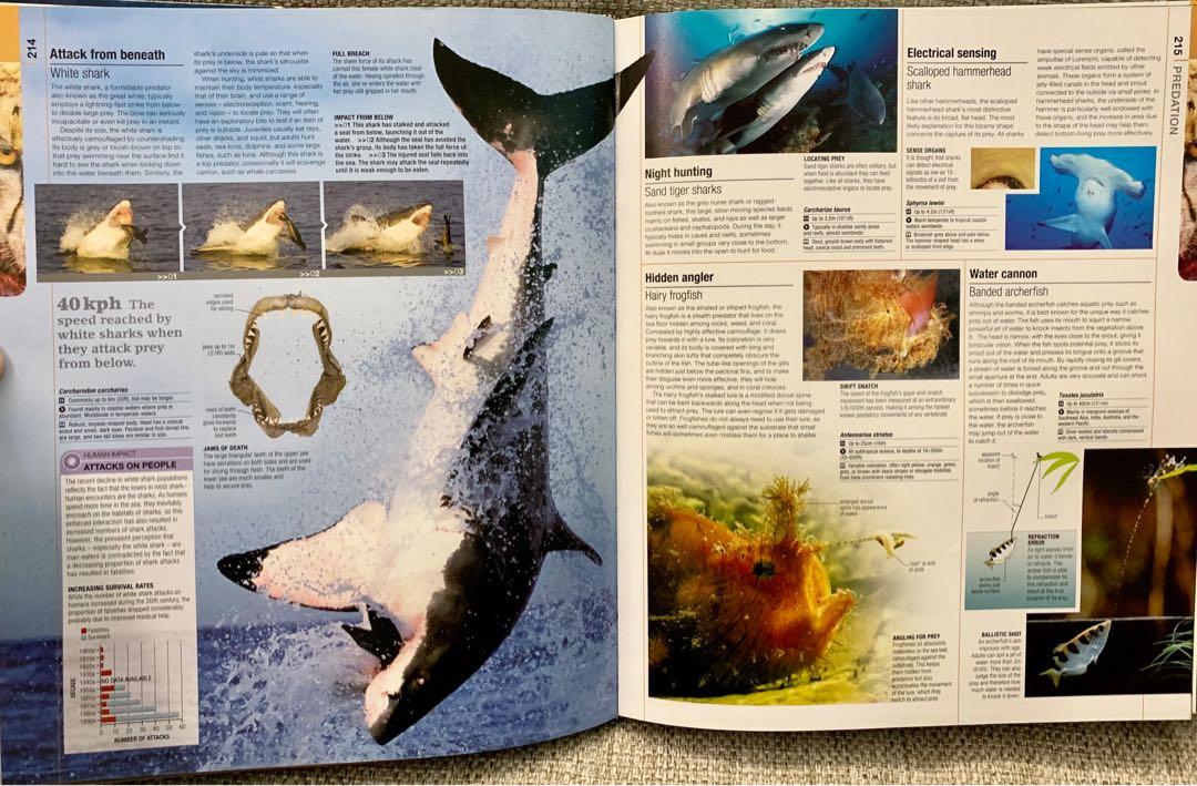 DK series : Illustrated Encyclopedia of Animal Life, Hobbies & Toys ...