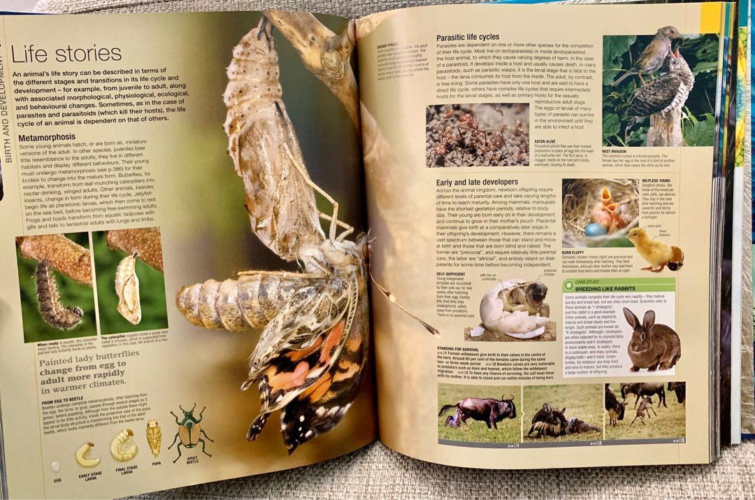 DK series : Illustrated Encyclopedia of Animal Life, Hobbies & Toys ...
