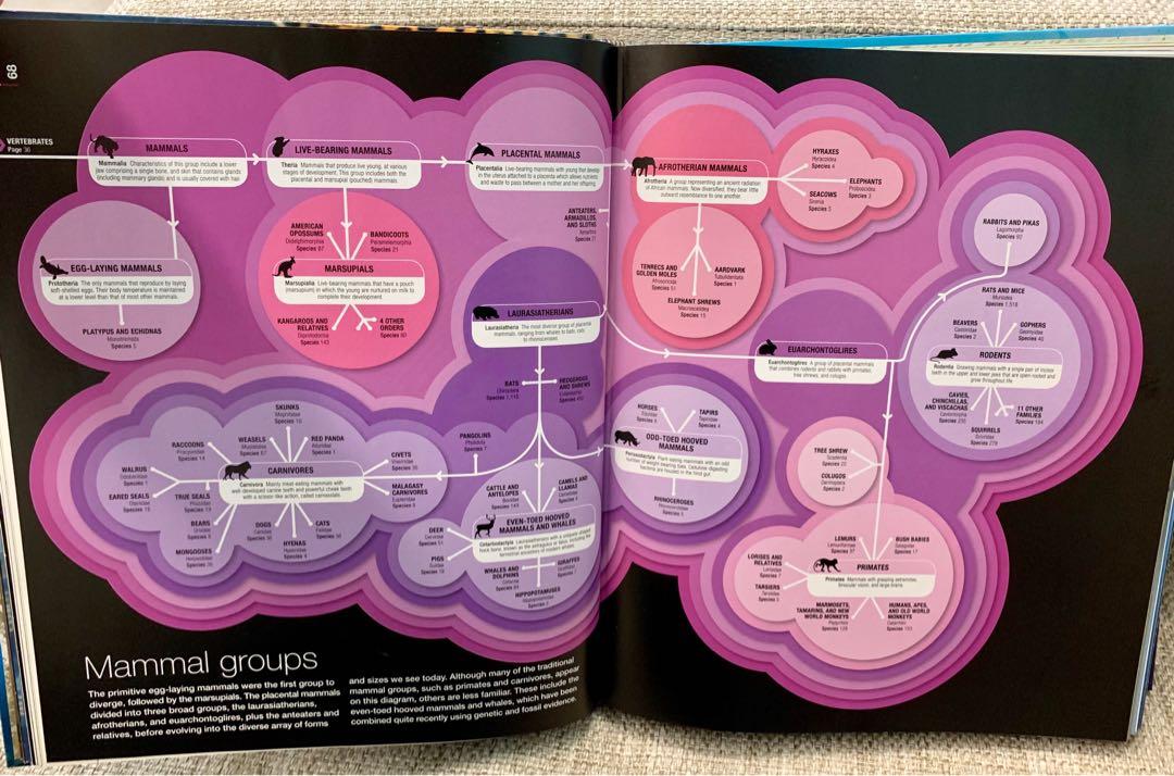 DK series : Illustrated Encyclopedia of Animal Life, Hobbies & Toys ...