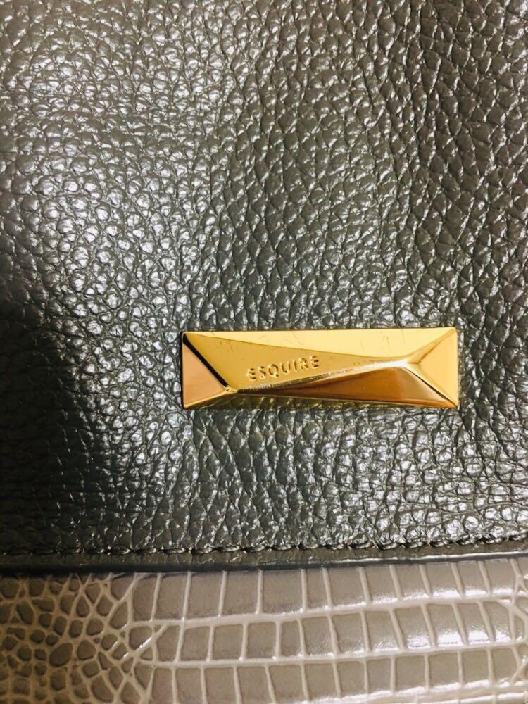 Esquire Backpack, Luxury, Bags & Wallets on Carousell