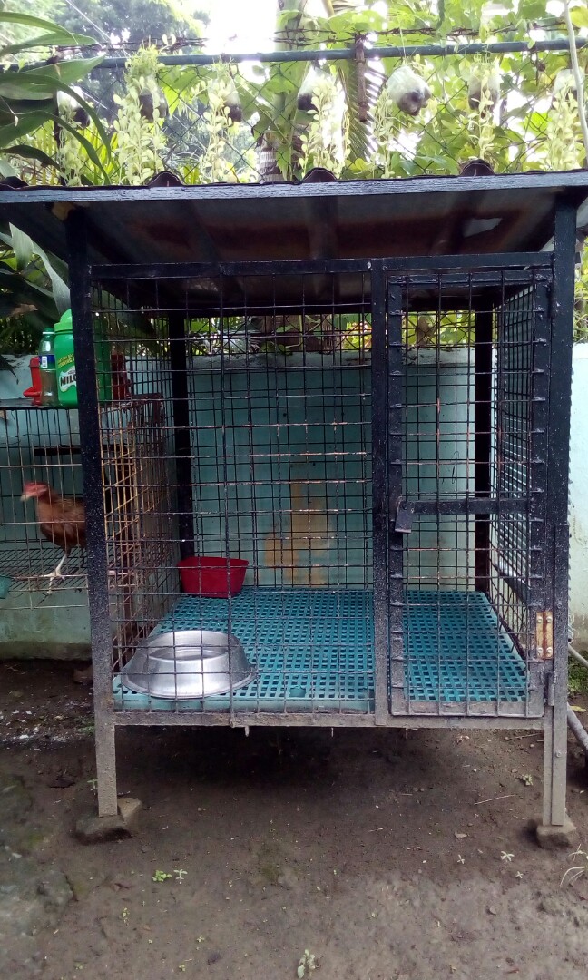 Kulungan ng aso, Pet Supplies, Health & Grooming on Carousell