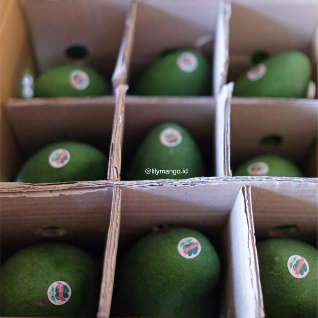 Mangga Lily Mango~Mangga Harum Manis, Perkebunan di Carousell