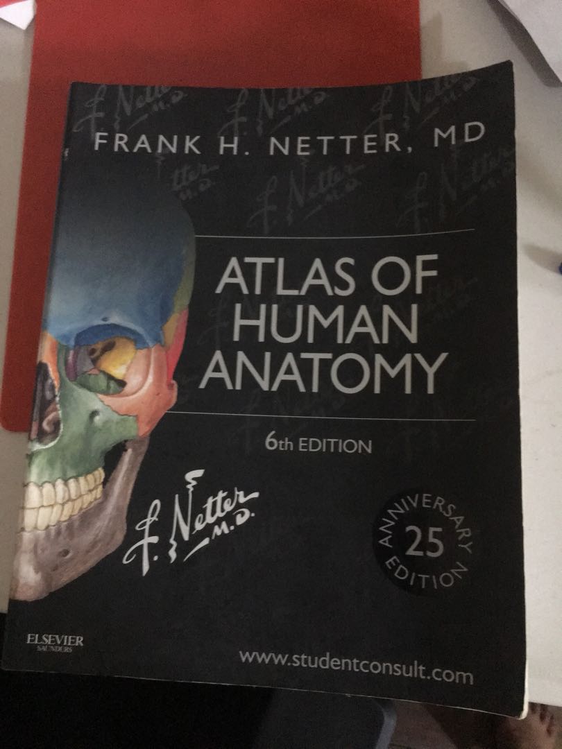 NETTER ANATOMY ATLAS, Hobbies & Toys, Books & Magazines, Children's ...