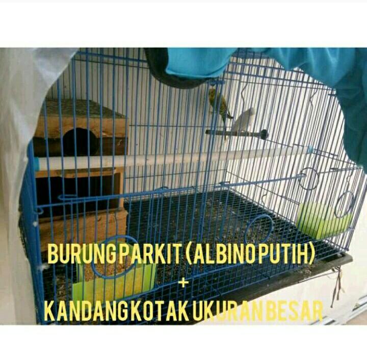 Sangkar Burung Parkit