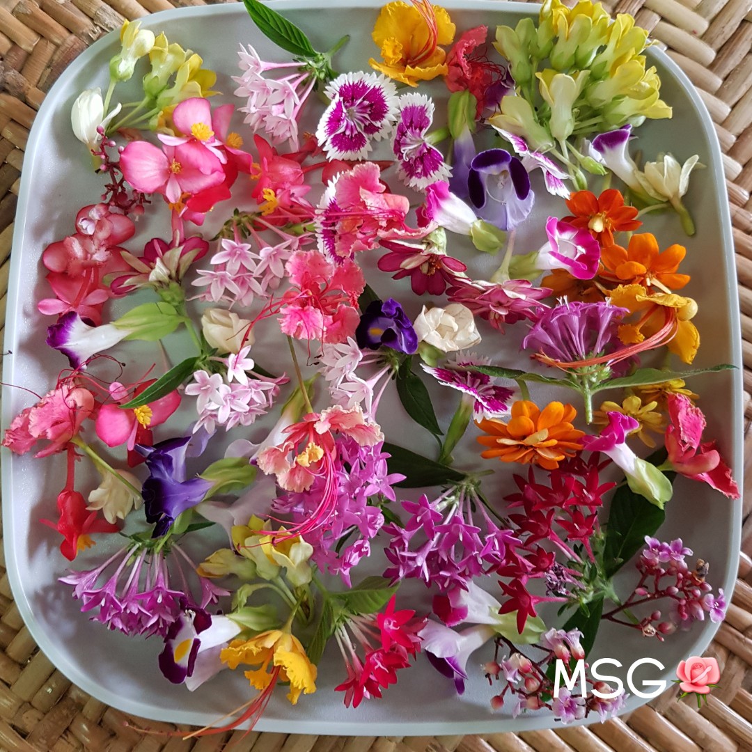 MIXED CONFETTI - EDIBLE GARNISHES / FLOWERS, Food & Drinks, Fresh ...