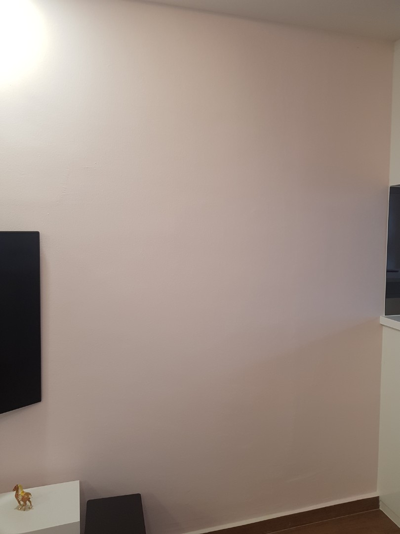 FOC free excess nippon paint sky beige, Everything Else on Carousell