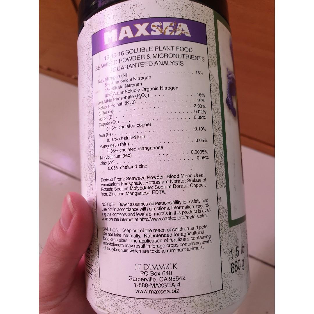 Maxsea 16-16-16, Furniture & Home Living, Home Decor, Other Home Decor on Carousell