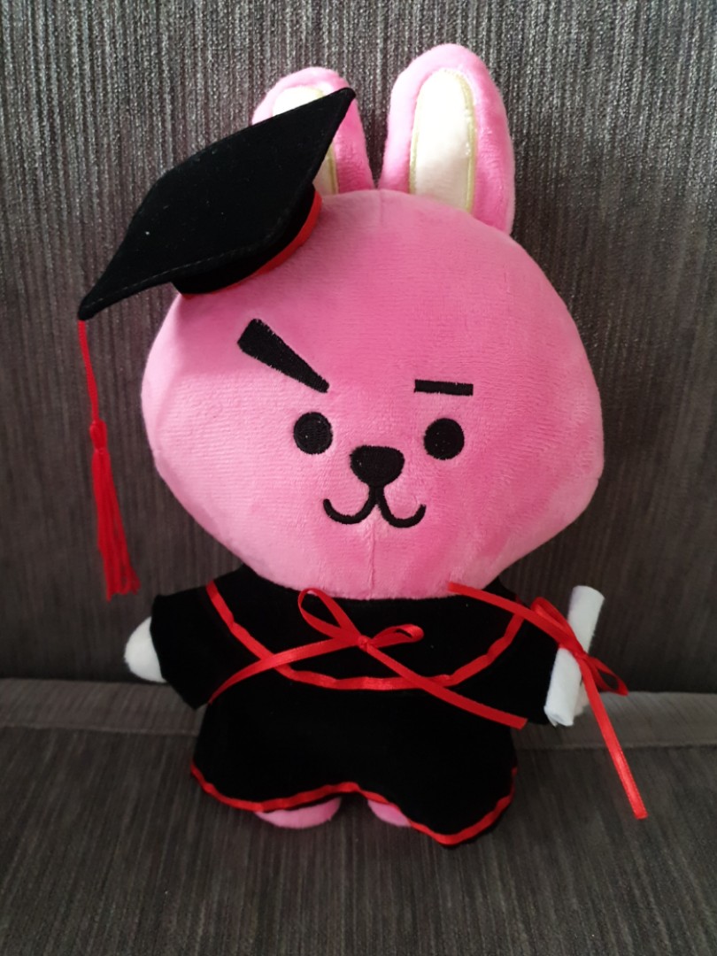 BN 27cm BTS BT21 Cooky graduation bear grad bear convocation ...