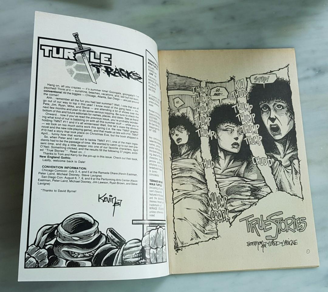 teenage mutant ninja turtles TMNT #11 comic comics mirage studios ...
