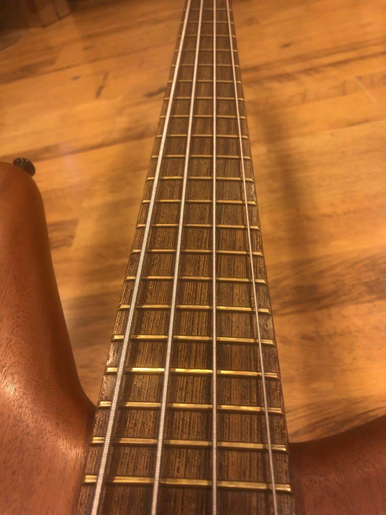 Warwick Dolphin SN TCS( Made in Germany), Hobbies & Toys, Music & Media ...