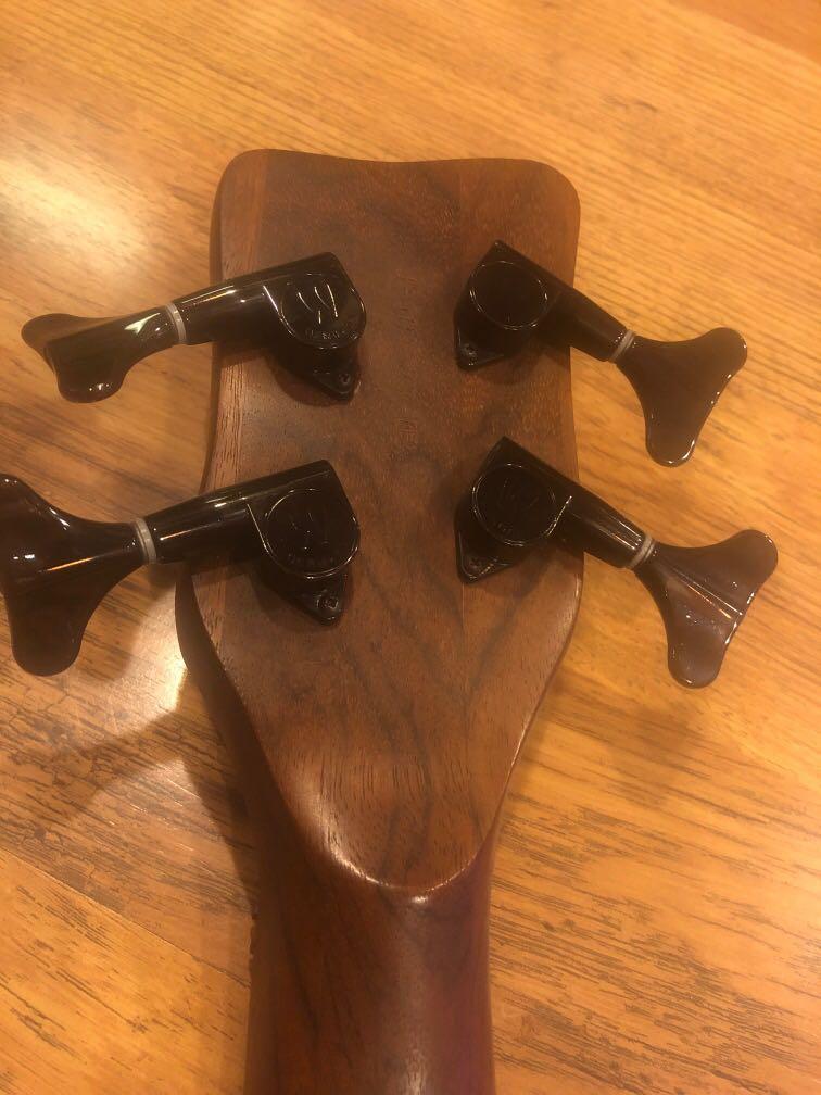 Warwick Dolphin SN TCS( Made in Germany), Hobbies & Toys, Music & Media ...