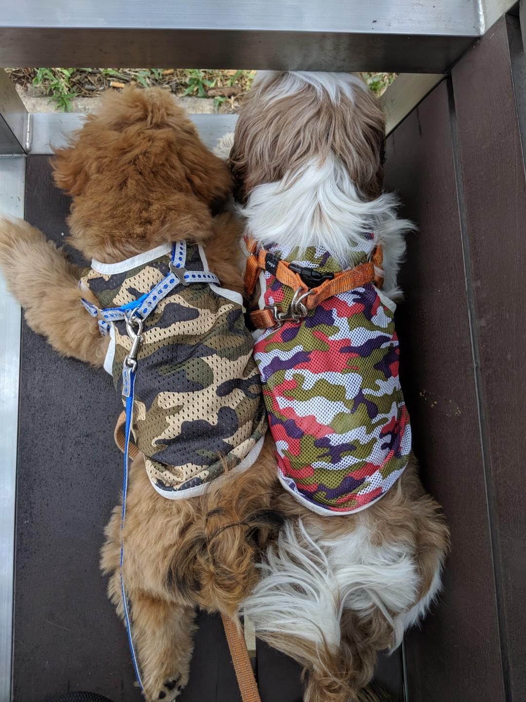 Instock new army pet singlet for big and small dogs cats, Pet Supplies ...