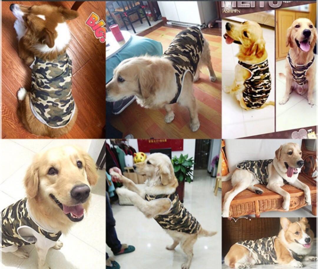 Instock new army pet singlet for big and small dogs cats, Pet Supplies ...