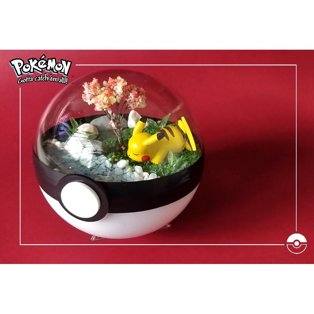 Pikachu (sleeping) Pokemon Terrarium | River Pokéball, Hobbies & Toys ...