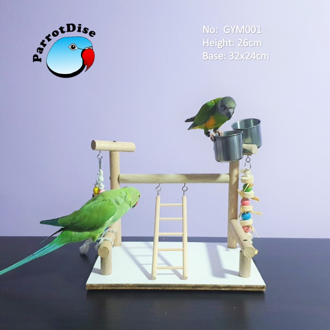 parrot bird table top play gym 001, Pet Supplies, Homes & Other Pet ...
