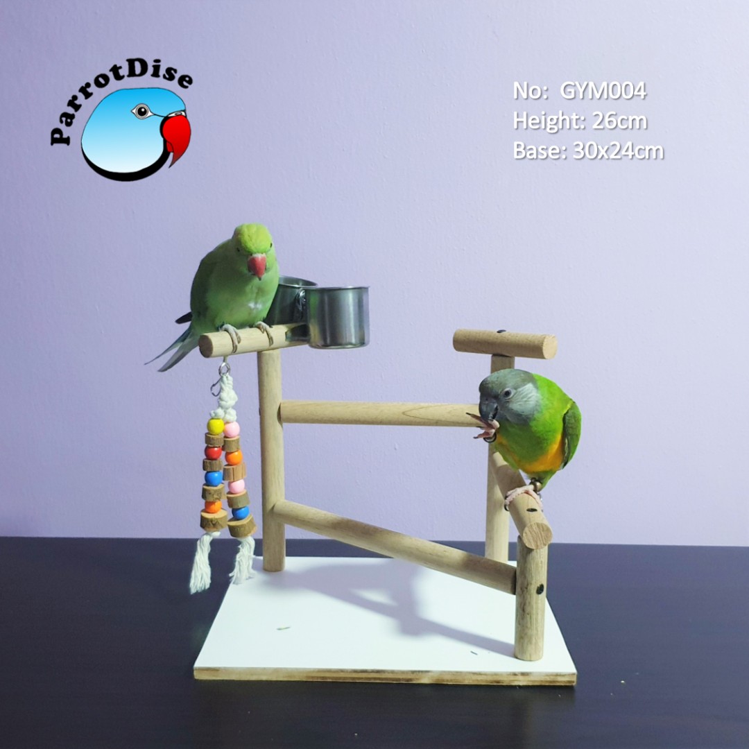 parrot bird table top play gym 004, Pet Supplies, Homes & Other Pet ...