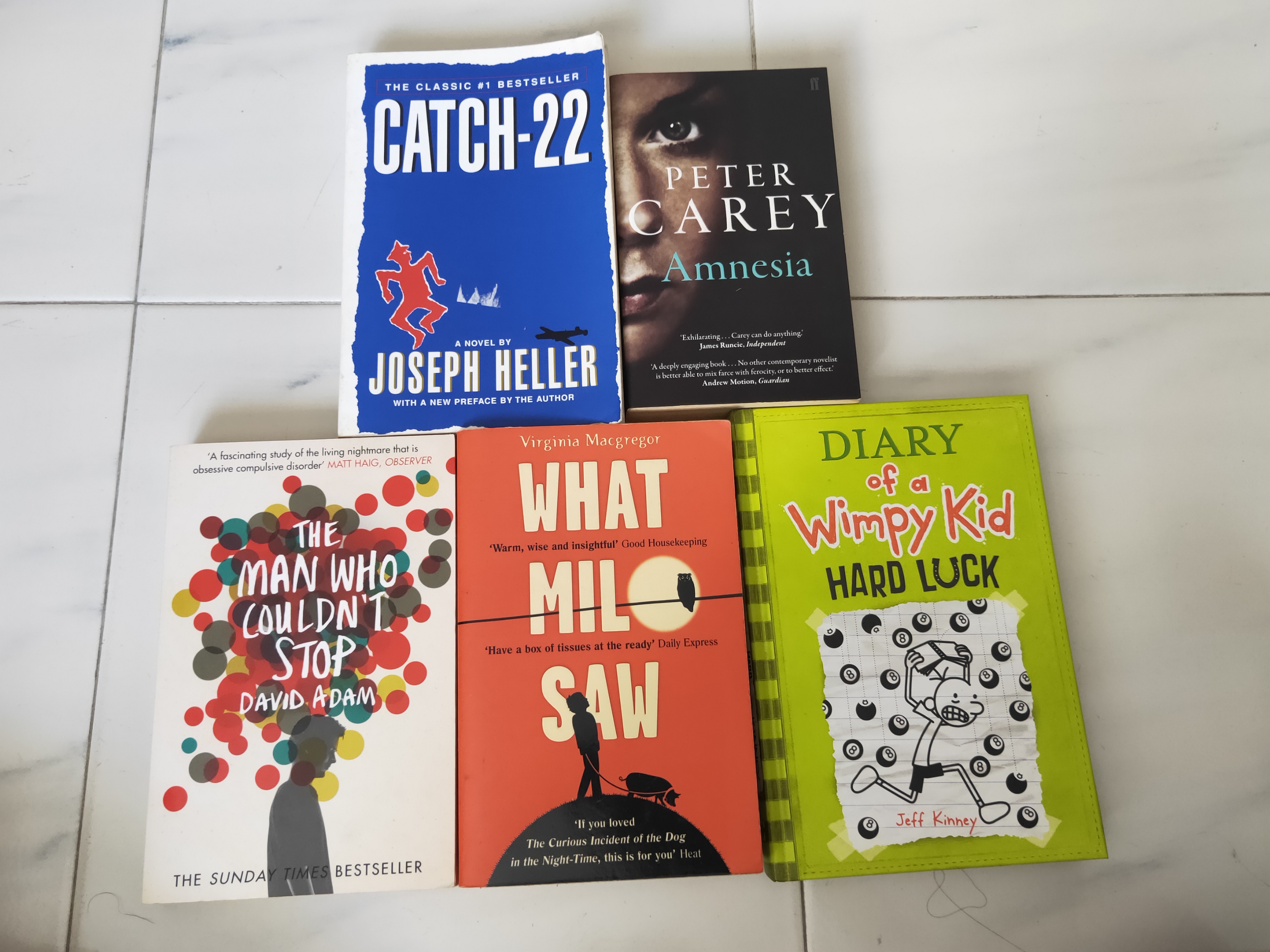 Amnesia, Catch-22, The Man Who Couldn't Stop, What Milo Saw, Diary of a ...